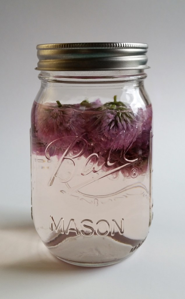 Chive Blossom Gibson – tippledpink